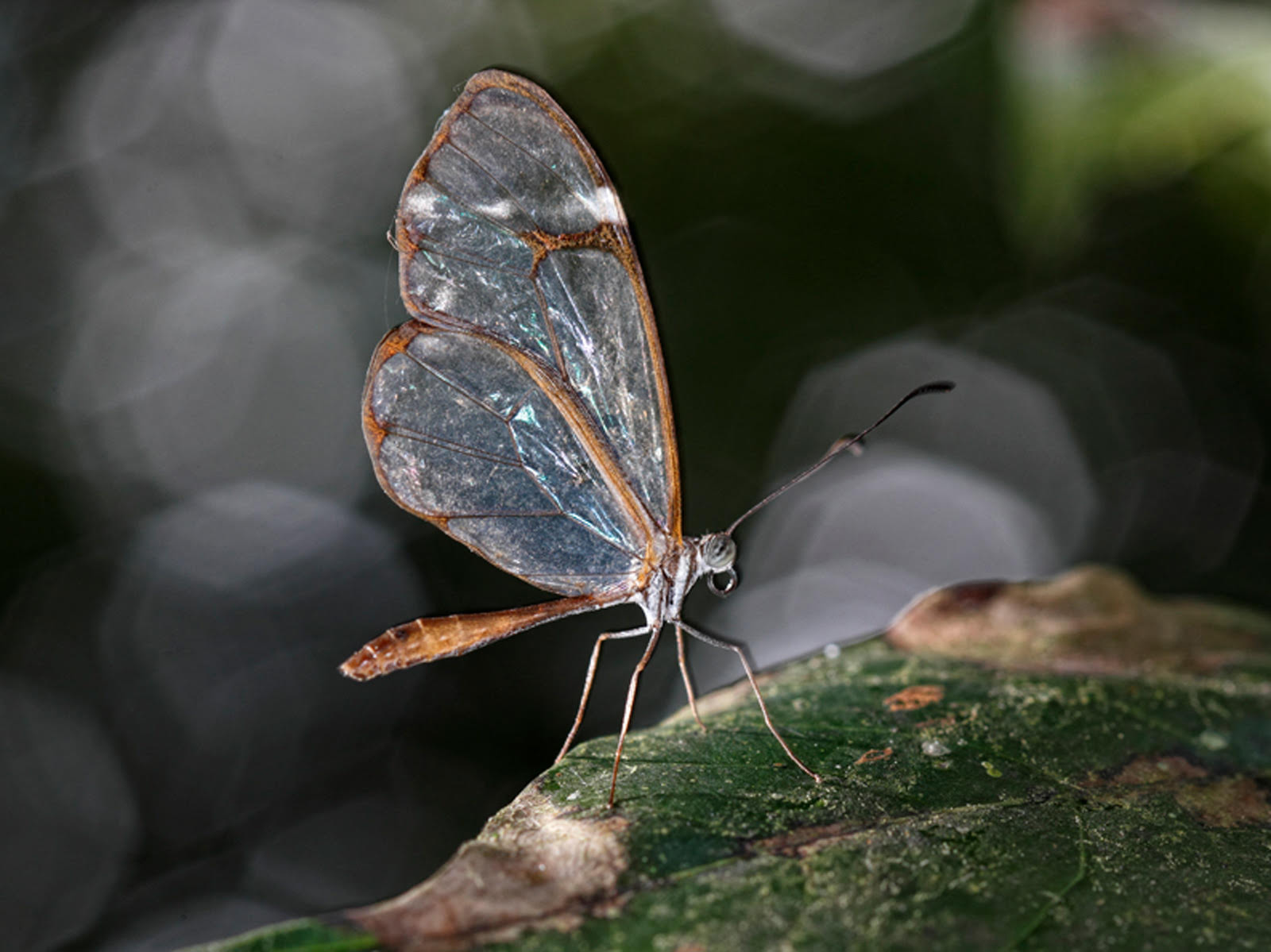 Fundación Propagas - Grupo Propagas